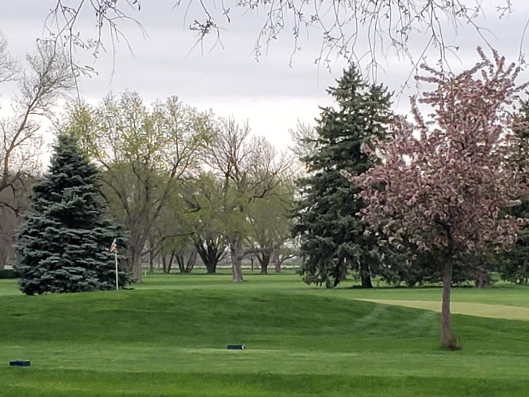 COURSE INFORMATION - Oakland Golf Club